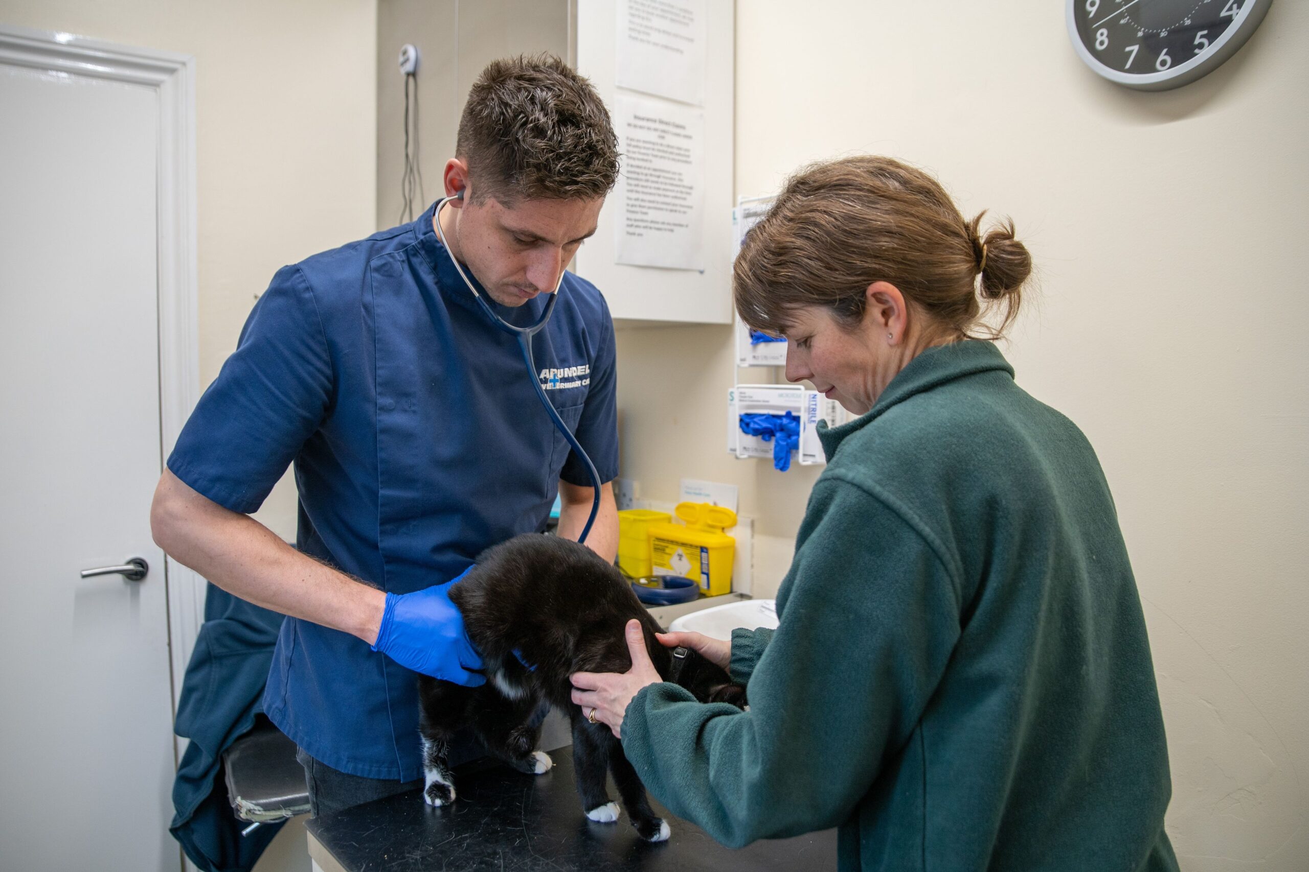 Arundell Vets | Doncaster's Dedicated Family Vet Since 2006