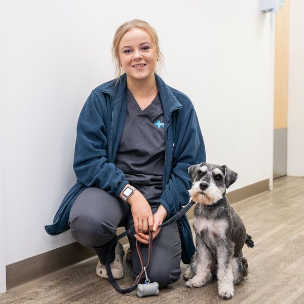 Meet Our Team | Arundell Vets