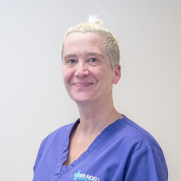 Meet Our Team | Arundell Vets