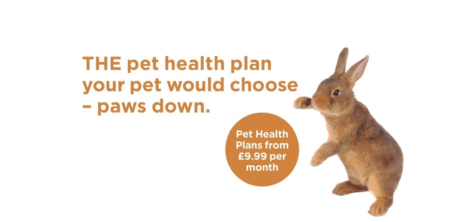 Pet Health Plan | Arundell Vets